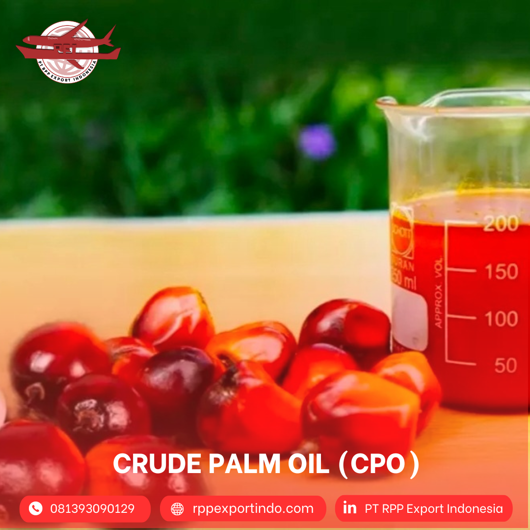 Harga Referensi CPO Juni 2025 Turun 7,36% karena Permintaan India Melemah - AgritaWarta