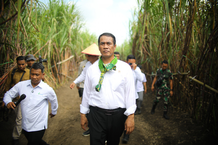 Wujudkan Swasembada Gula Nasional, Ini Enam Strategi Kunci Kementan - AgritaWarta